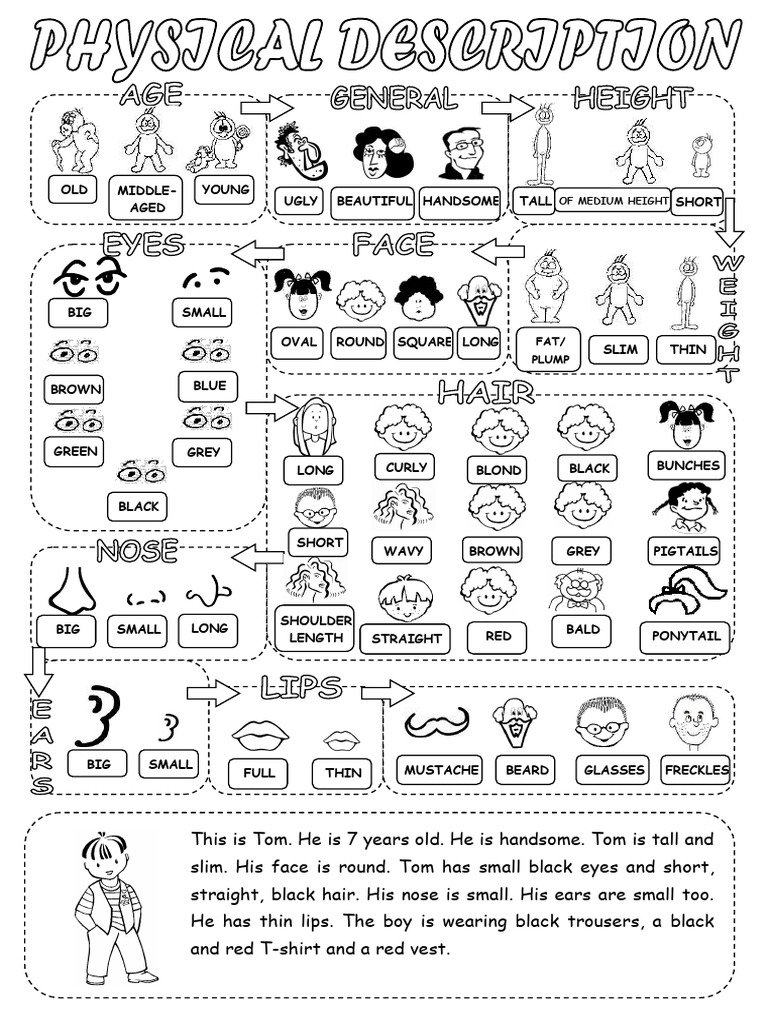 PHYSICAL DESCRIPTION VOCABULARY | PDF