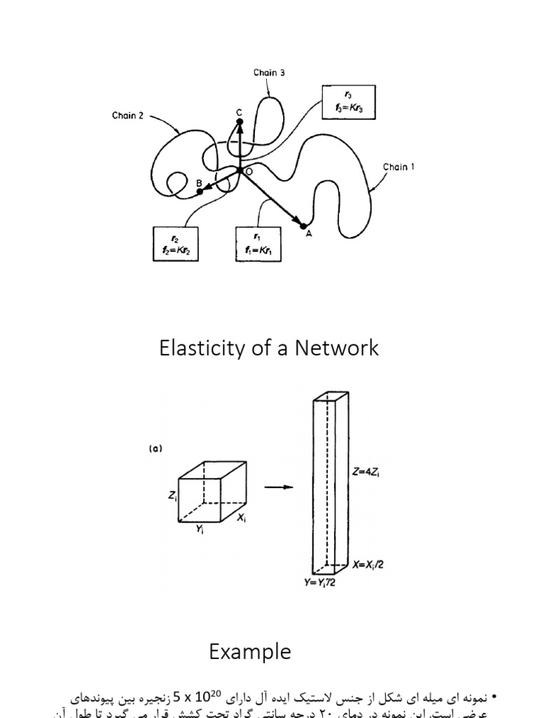 Principles of Polymer Engineering - Sessions 12-13 | PDF