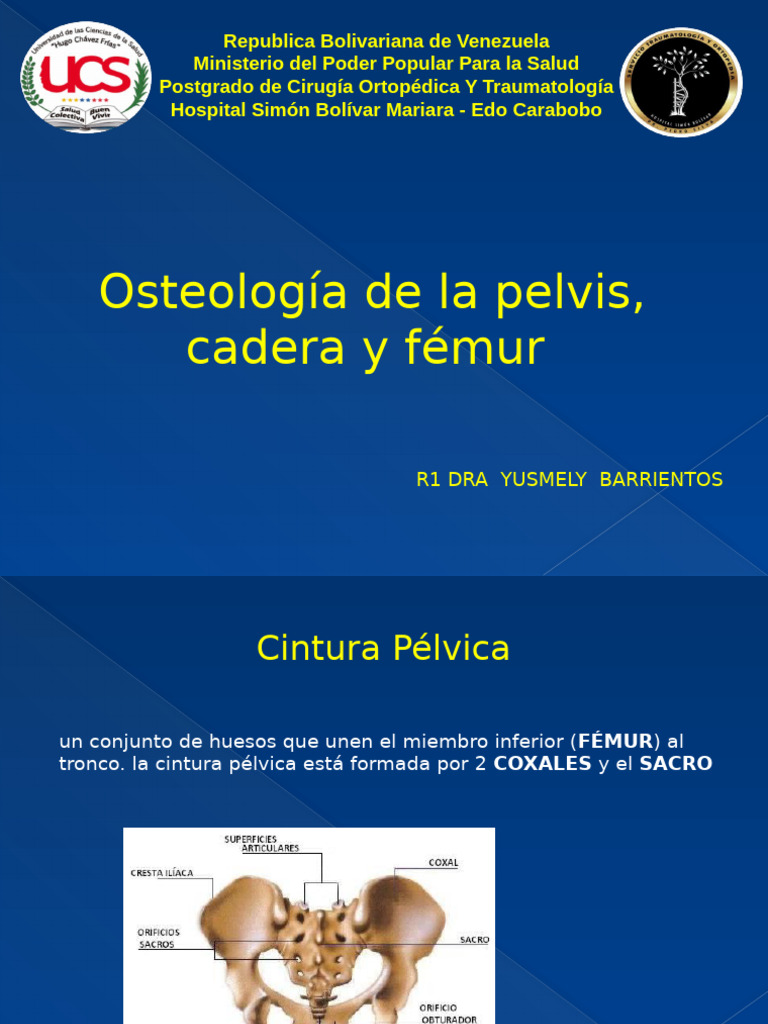 Osteologia de Pelvis Cadera y Femur 2.30 | PDF