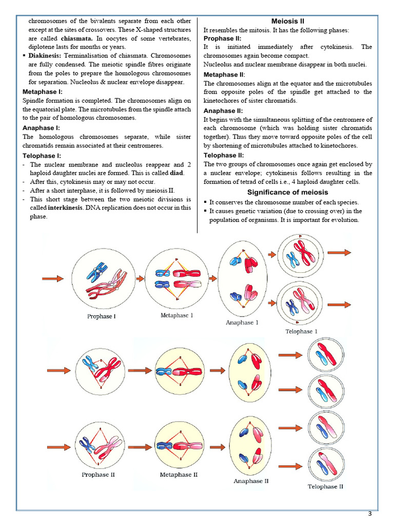 BIOLOGY-PDF-XI-53 | PDF | Meiosis | Cell Nucleus