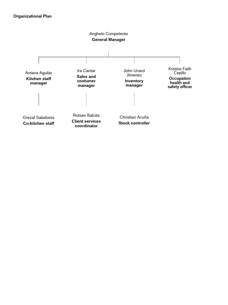Organizational Plan Box | PDF