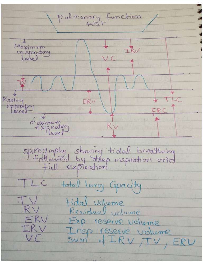 Pulmonary Function Tests Notes | PDF