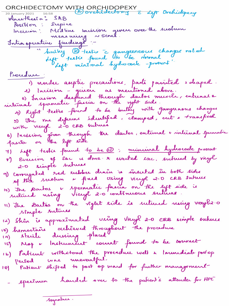 Orchidectomy With Orchidopexy | PDF