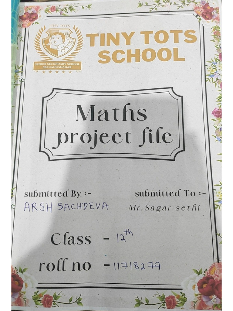 Maths Practical File 12 | PDF