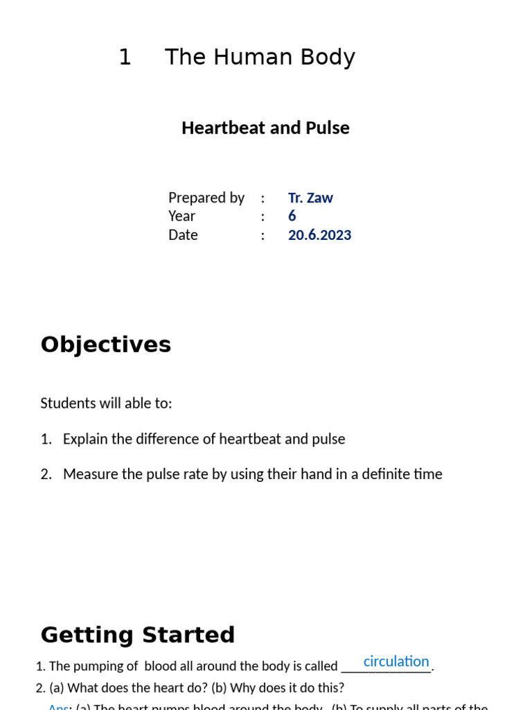 2st Lect-Y-6 | PDF | Heart | Artery