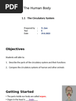 Human vs Fish Circulatory Systems | PDF | Circulatory System | Heart