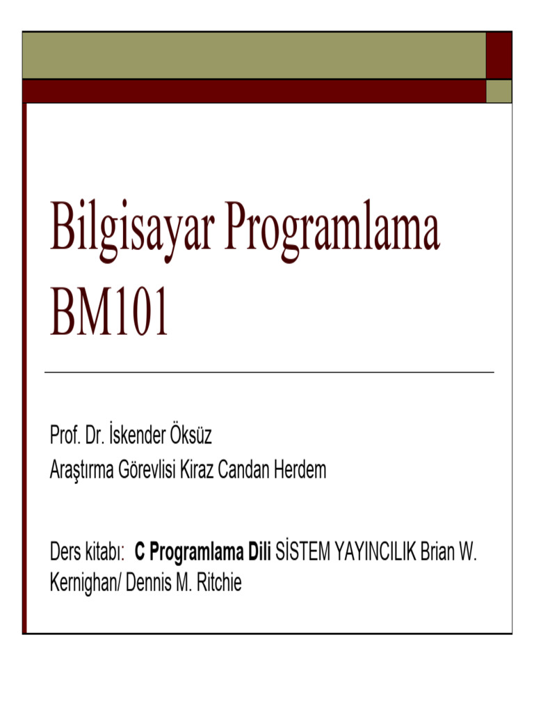 Bilgisayar Programlama BM101 | PDF