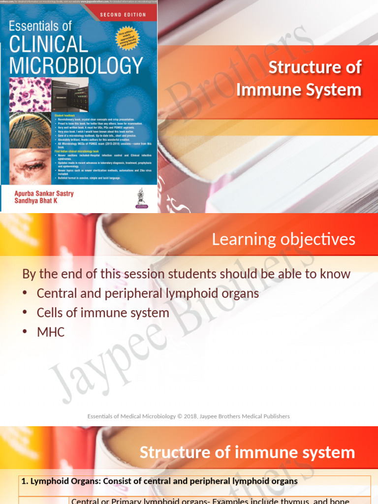 Structure of the Immune System Overview | PDF | Lymph Node | Lymphatic ...