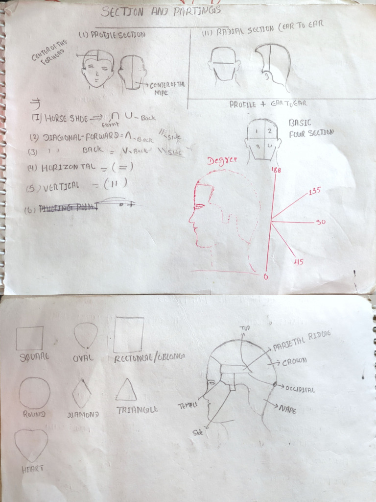 Haircut Notes | PDF