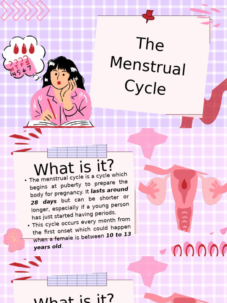 The Menstrual Cycle | PDF | Menstrual Cycle | Female Mammals