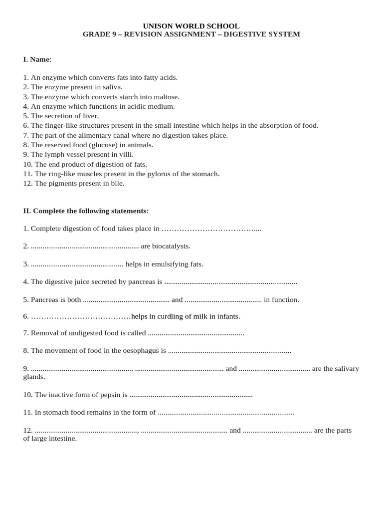 Digestive System - Grade 9 | PDF | Digestion | Stomach