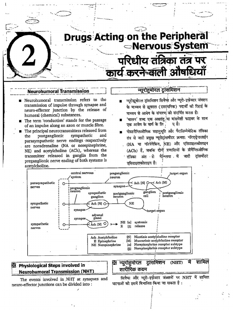 Drugs Acting On The Peripheral Nervous System | PDF