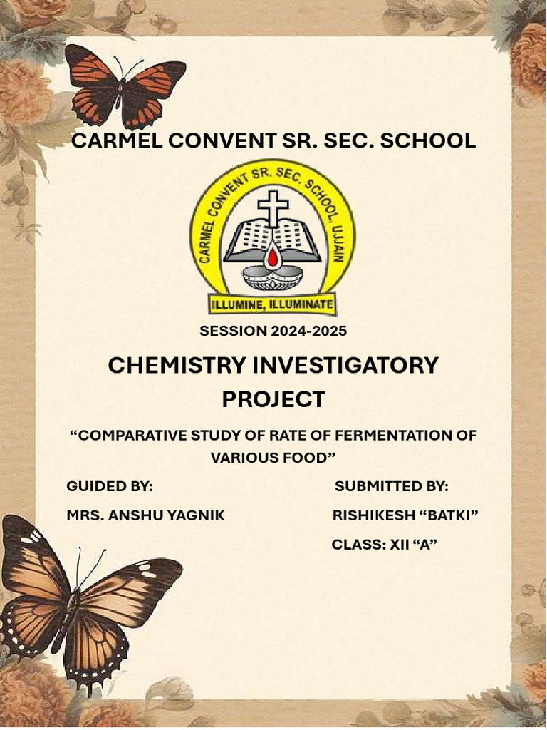 Chemistry Project: Fermentation Rates | PDF