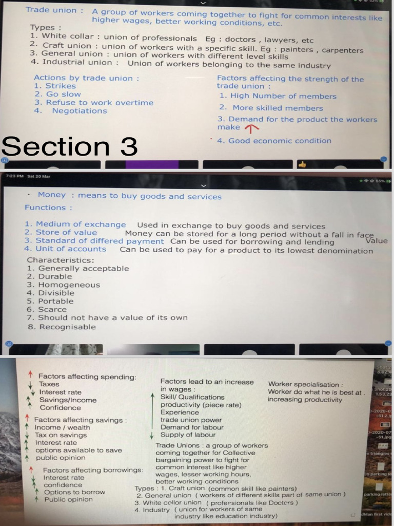 Ig Eco Unit 3 | PDF