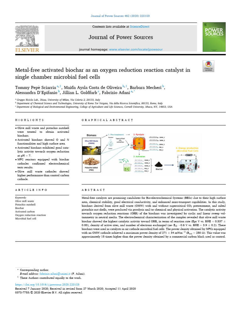 Metal-Free Activated Biochar As An Oxygen Reduction Reaction Catalyst ...