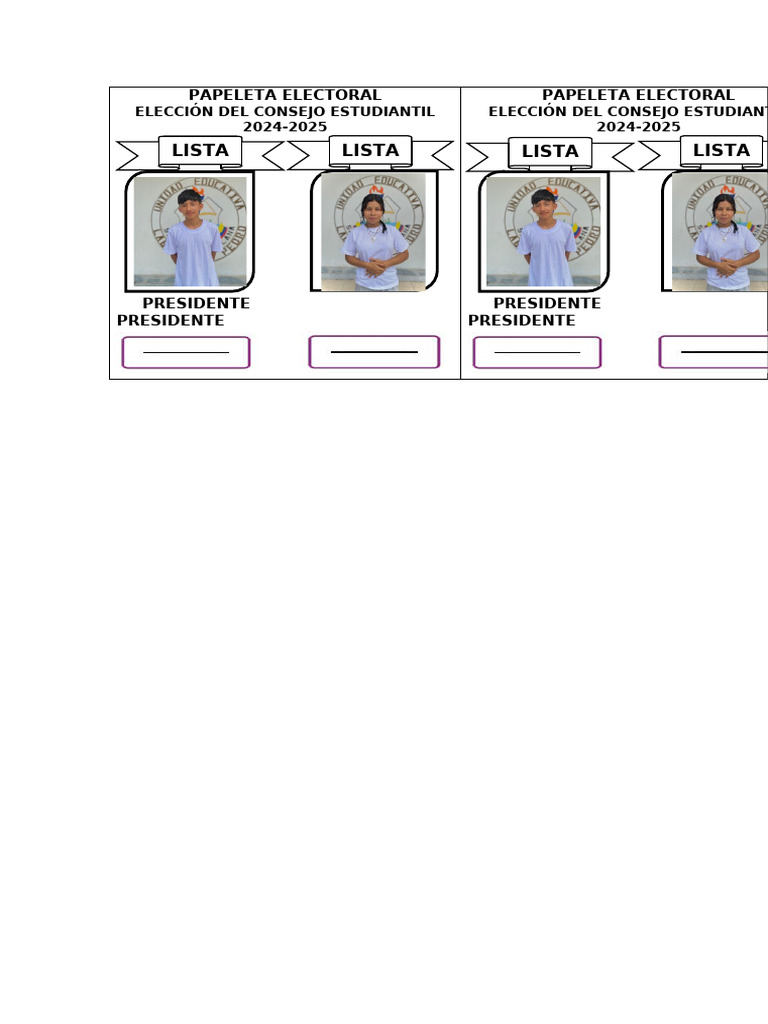 Papeleta Electoral | PDF