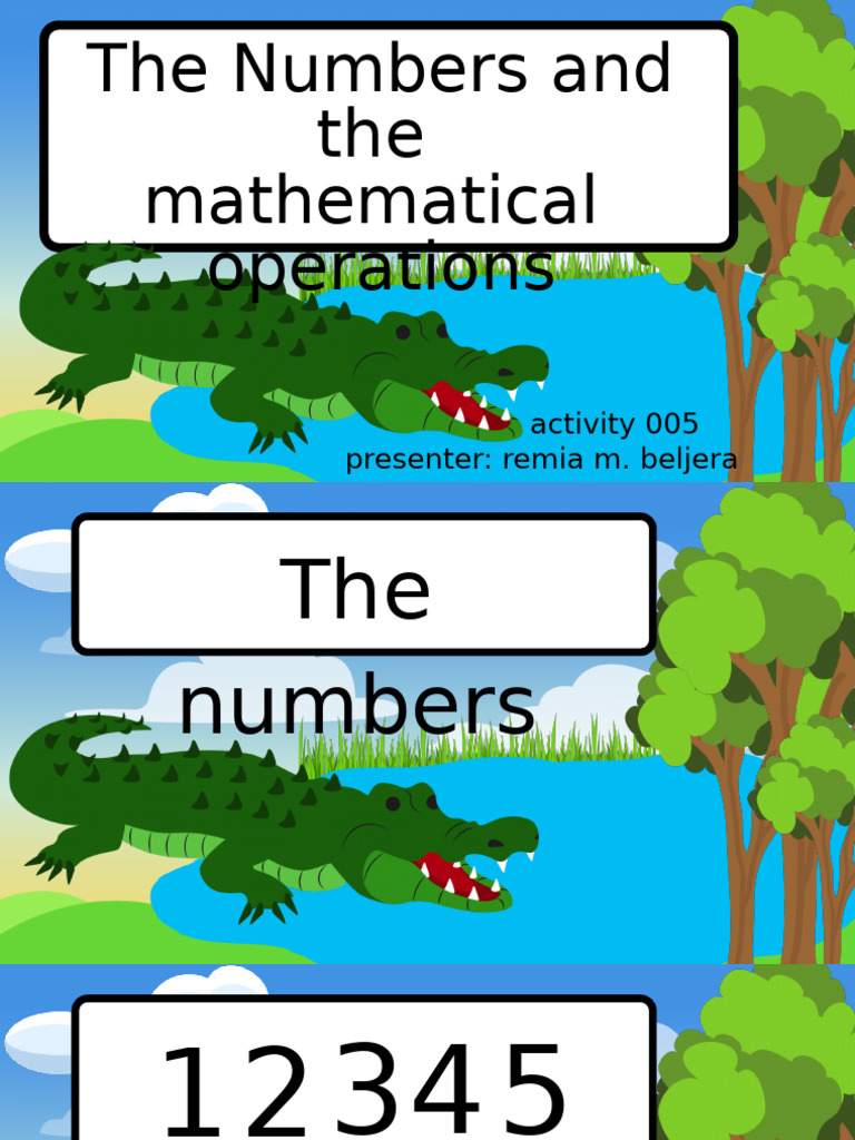 Understanding Basic Math Operations | PDF
