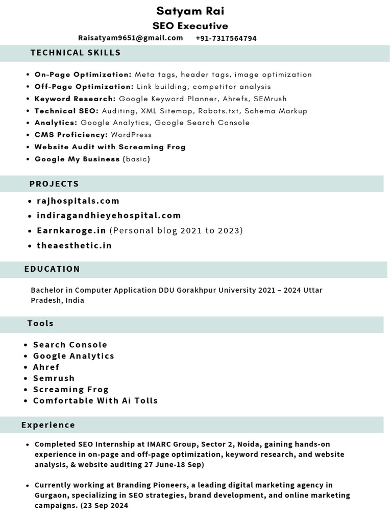 Satyam Rai SEO Executive | PDF