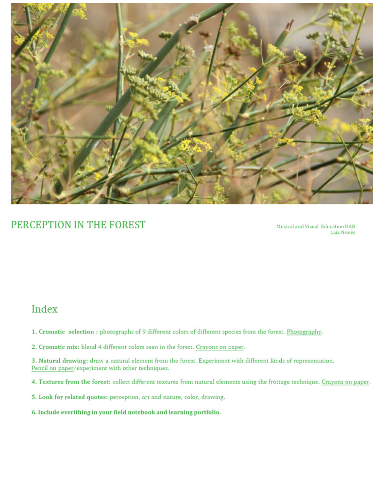 Perception_Forest | PDF