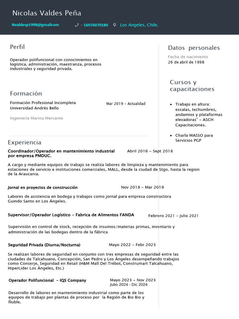 Curriculum Nicolas Valdes 2025 | PDF | Business