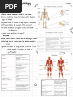 LifeStent Vascular Stent System Brochure (Bard) (BD Interventional ...