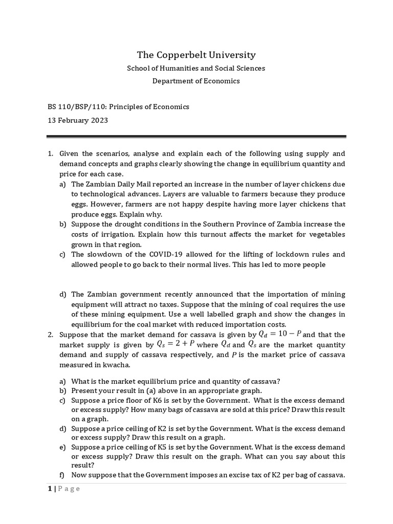 Problem Set 2 | PDF | Demand | Supply (Economics)