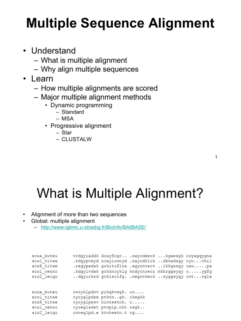 Second - Done - w15 - 16 - A - Multiple Sequence Alignment | PDF | Sequence Alignment ...