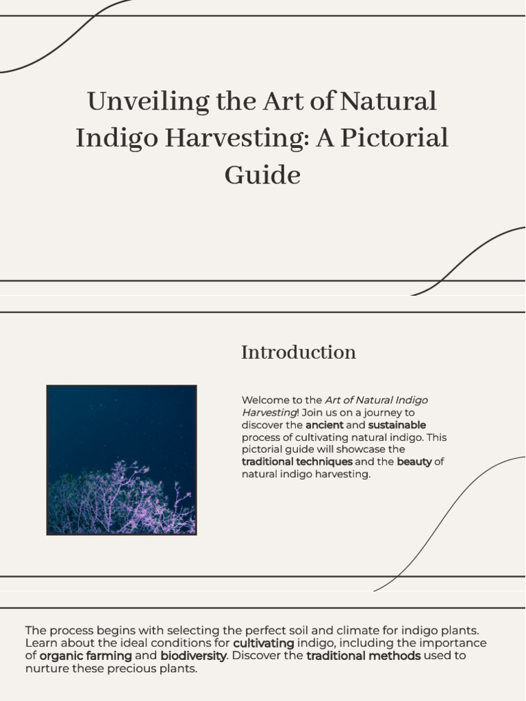 Slidego Unveiling The Art of natura110qKPO | PDF