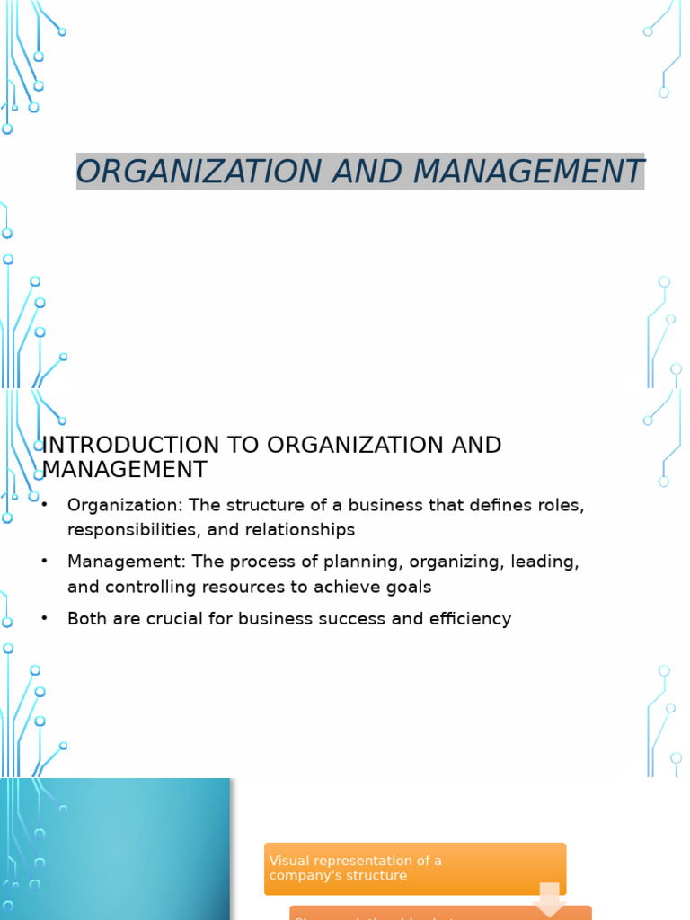 Organization and Management Overview | PDF | Hierarchy | Economies