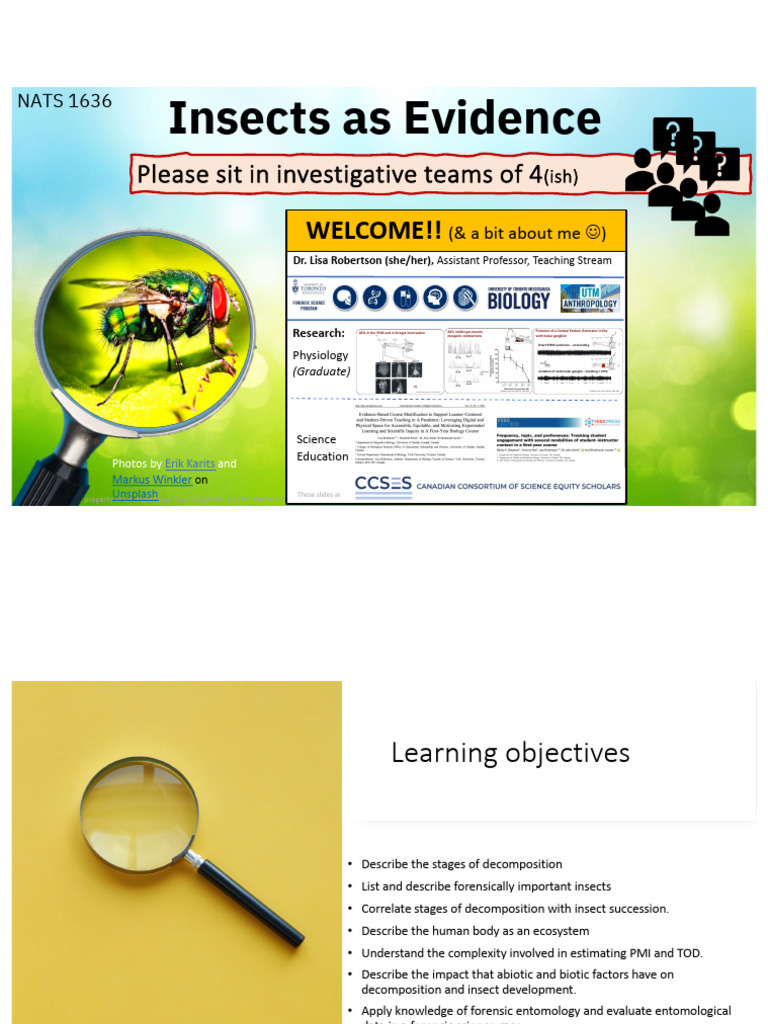 Forensic Entomology: Insect Evidence Analysis | PDF | Decomposition ...