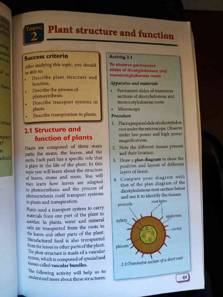 Biology-Topic 2 Plant structure and functions 1 | PDF