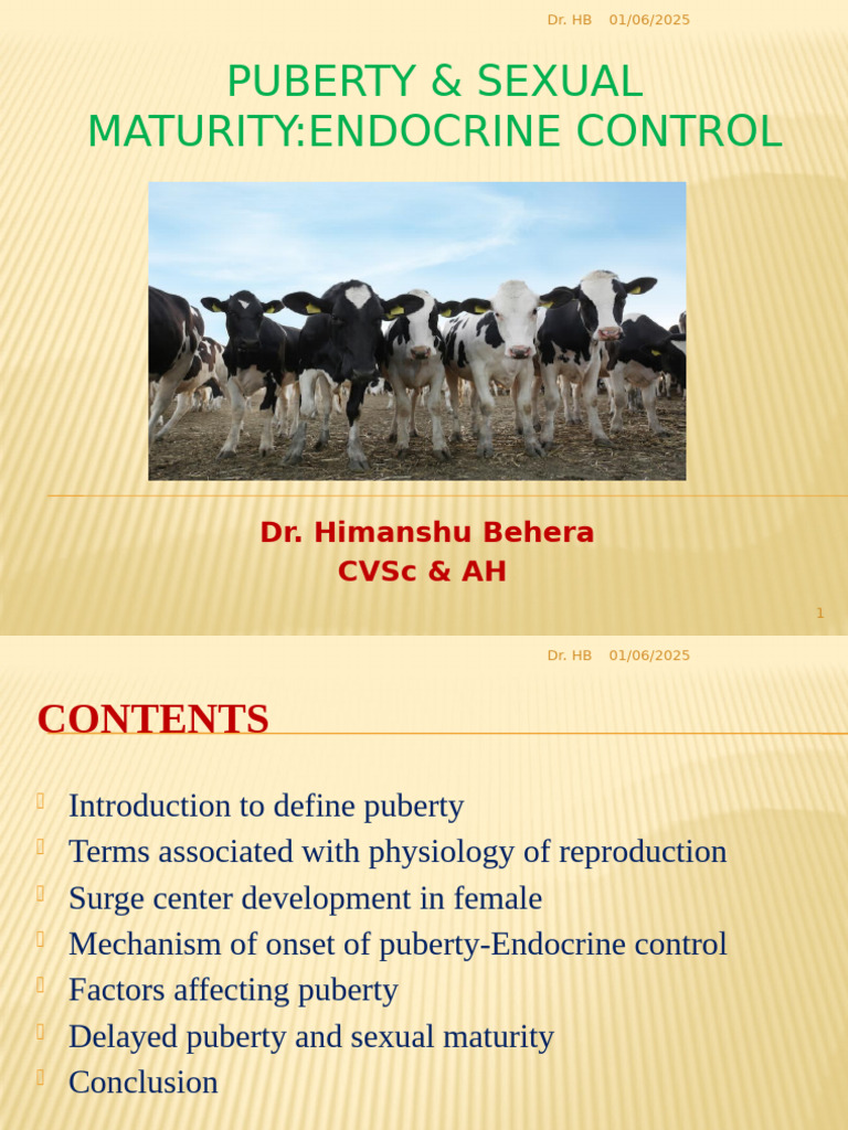 Puberty | PDF | Puberty | Endocrine System