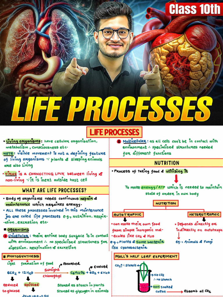 1. Life Processes | PDF