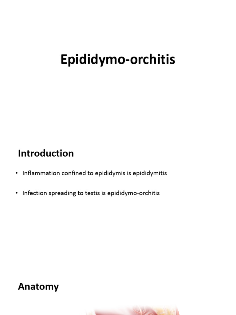 Epididymo Orchitis | PDF