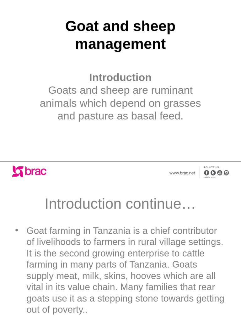 Goat and Sheep Management in Tanzania | PDF | Goat | Sheep
