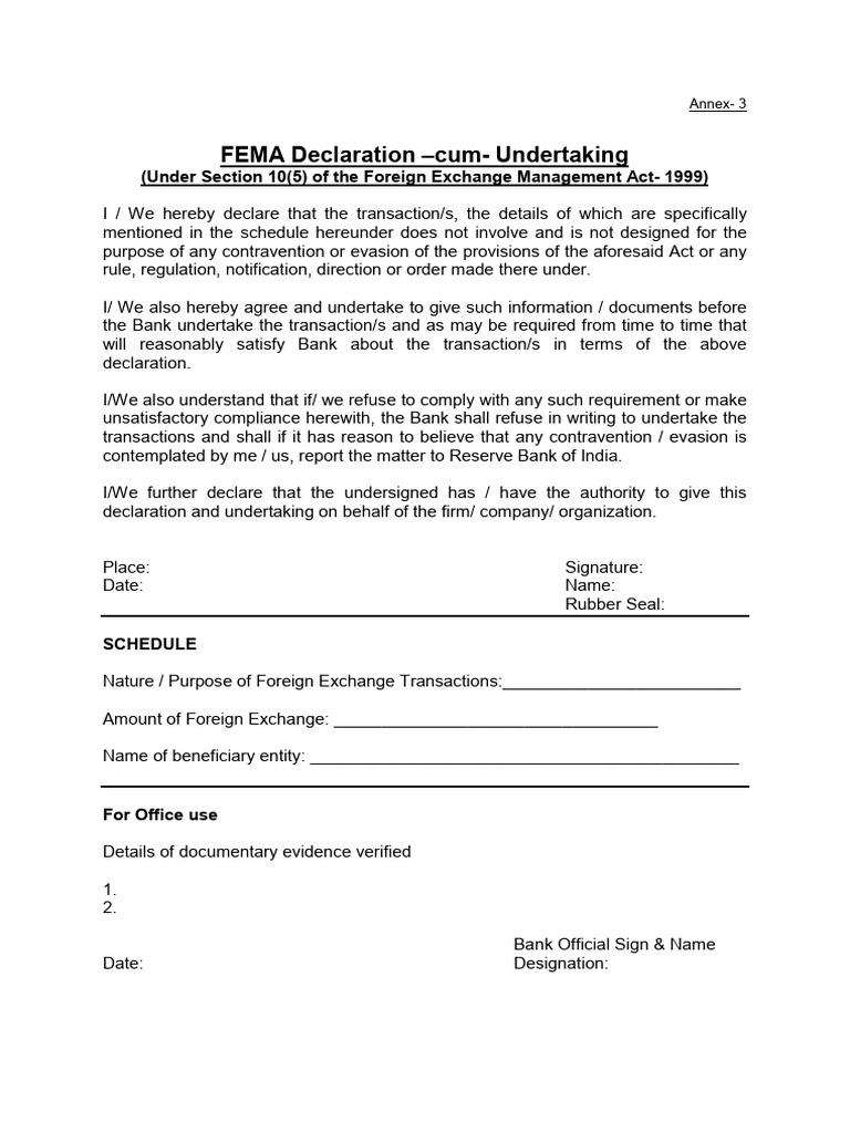FEMA Declaration Form Template | PDF