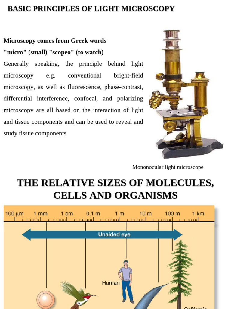 LIGHT MICROSCOPY | PDF | Microscope | Angular Resolution