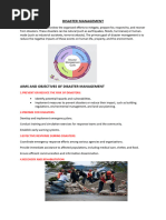 Disaster Management Poster | PDF