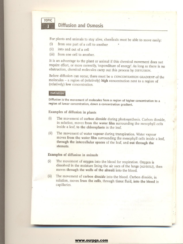 Diffusion and Osmosis | PDF