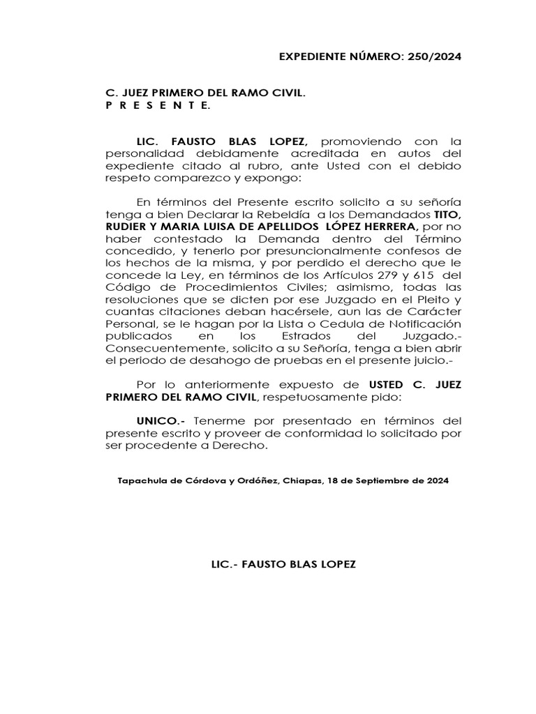 Solicitud de Declaración de Rebeldía | PDF