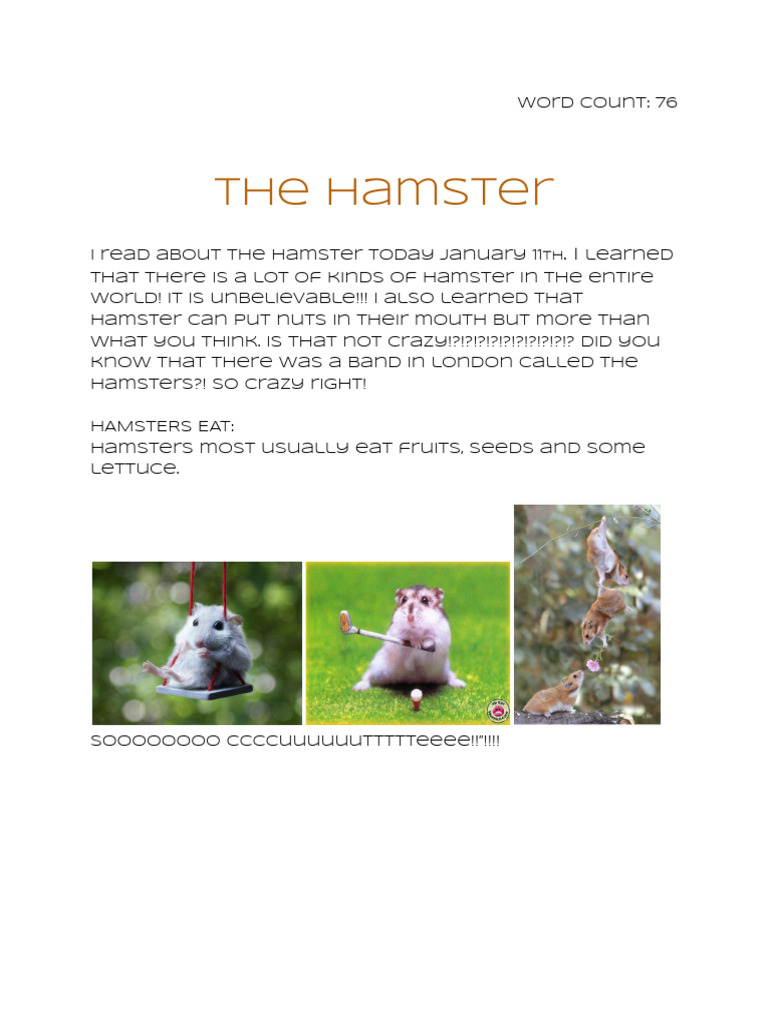 The Hamster | PDF