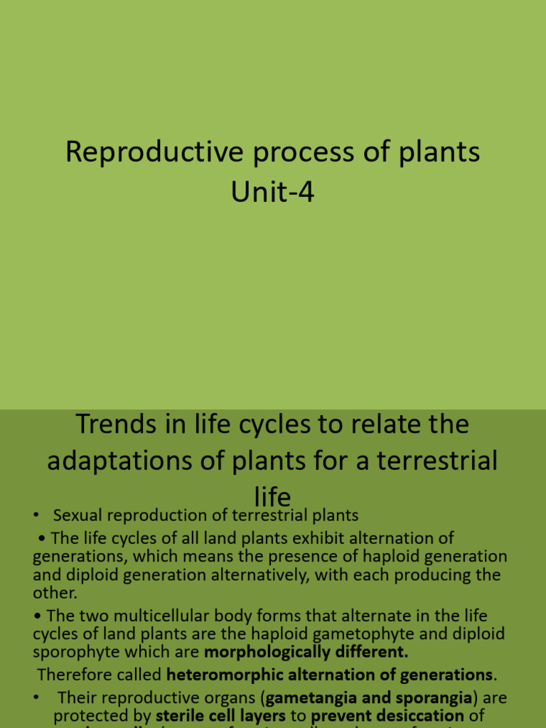 Reproductive Process of Plants | PDF | Seed | Fertilisation