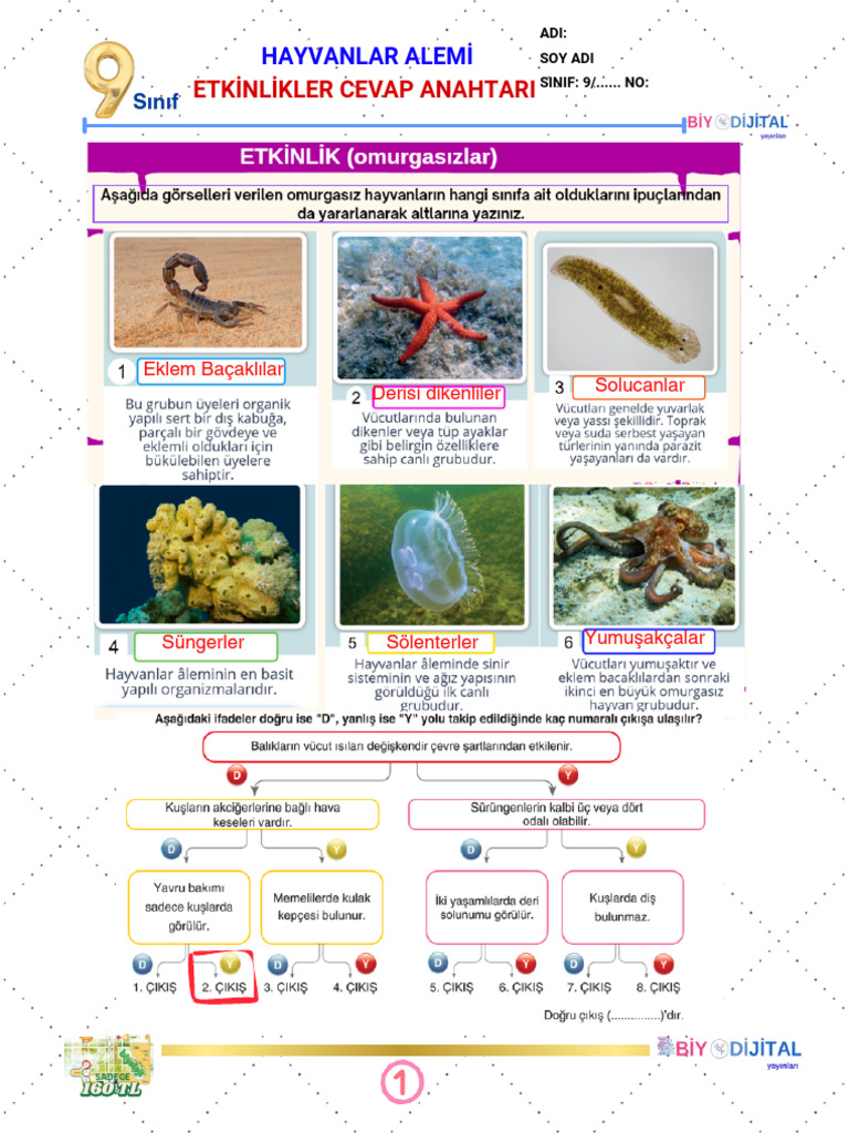 Hayvanlar Alemi̇ Etki̇nli̇k Cevap Anahtari | PDF