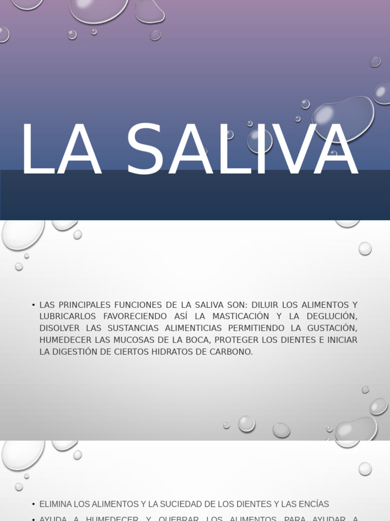 La Saliva | PDF