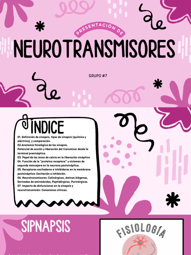 Neuro Transm I Sores | PDF | Sinapsis | Neurotransmisor