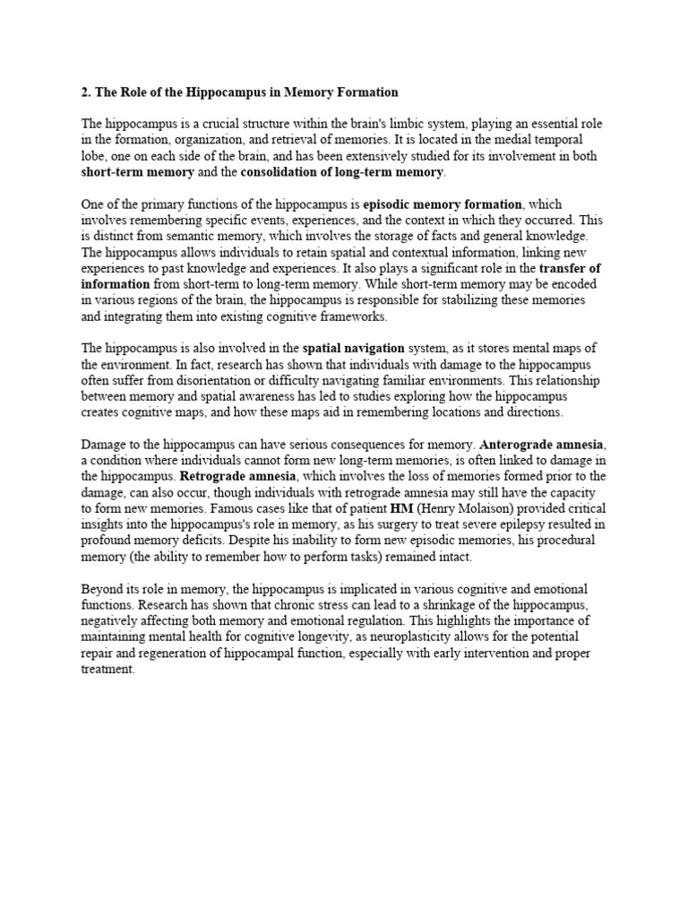 The Role of the Hippocampus in Memory Formation | PDF | Memory ...