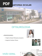 Anatomia Do Olho e Anexos Propedeutica | PDF | Olho humano | Olho