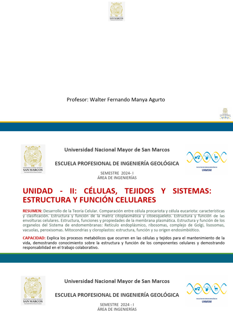 Estructura y Función de Células y Tejidos | PDF | Biología Celular ...