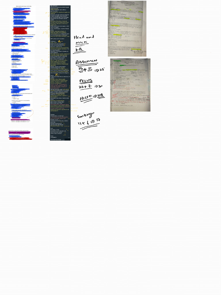 Anatanny ABD | PDF