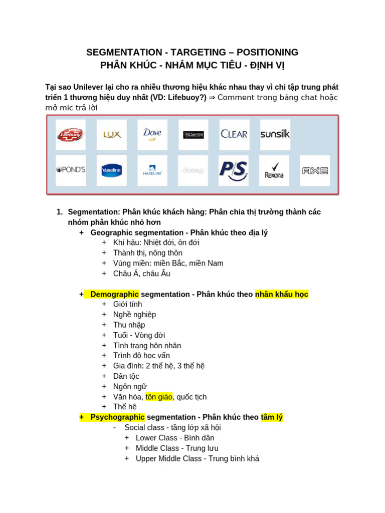 Segmentation - Targeting - Positioning | PDF